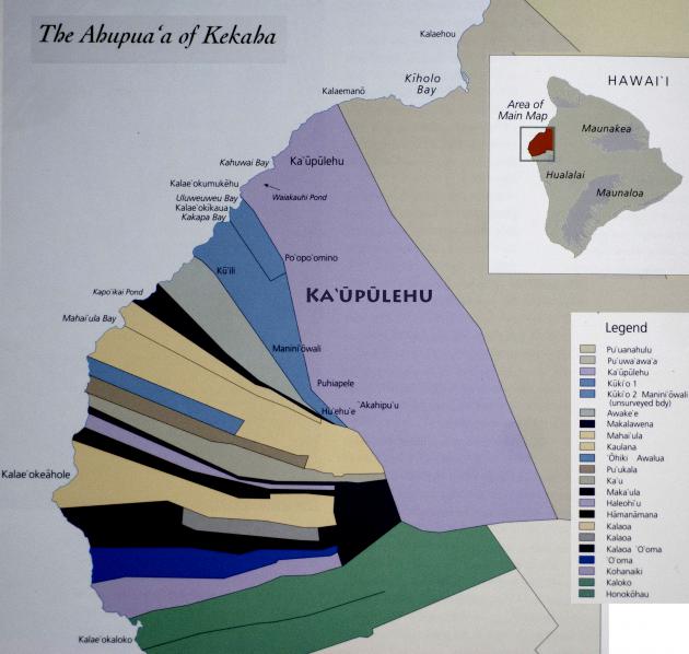 Ho‘ola Ka Makana‘ā At Ka‘ūpūlehu Dryland Forest – Nahelehele Dryland ...