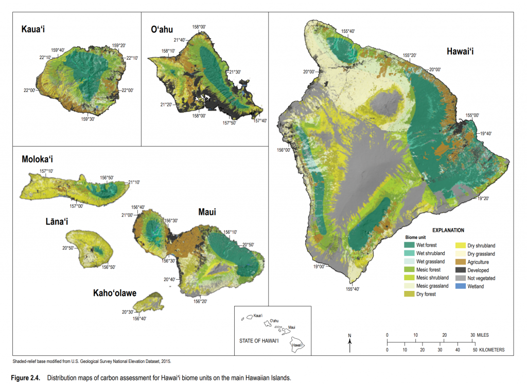 Nahelehele Dryland Forest Restoration – a non-profit for Hawai'i ...